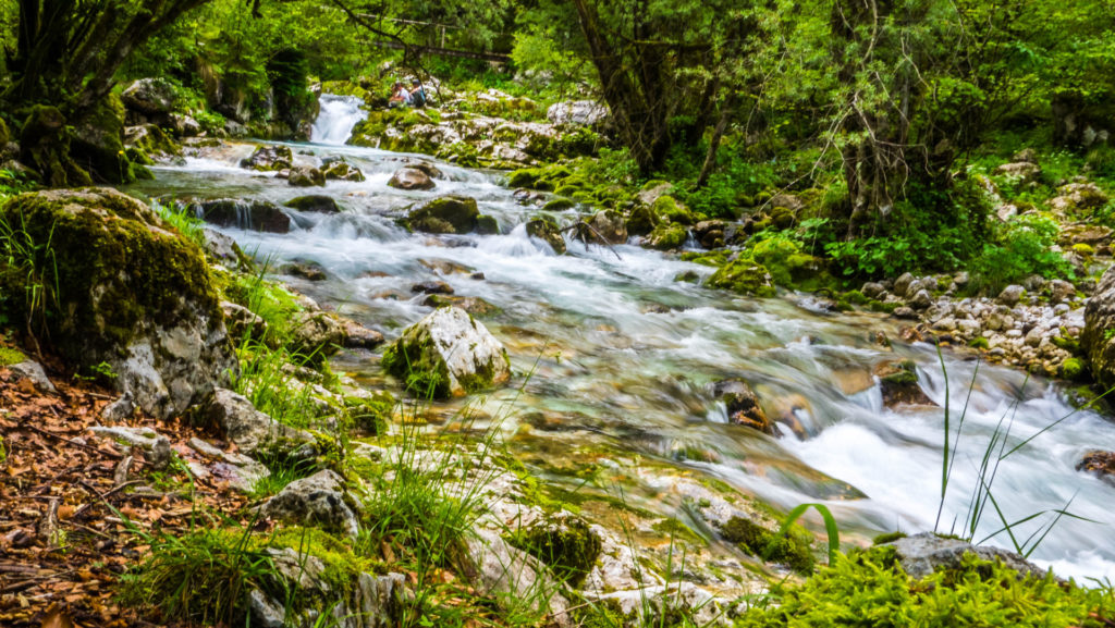 Camp Soca im Triglav Nationalpark - Hund unterwegs im Wohnmobil
